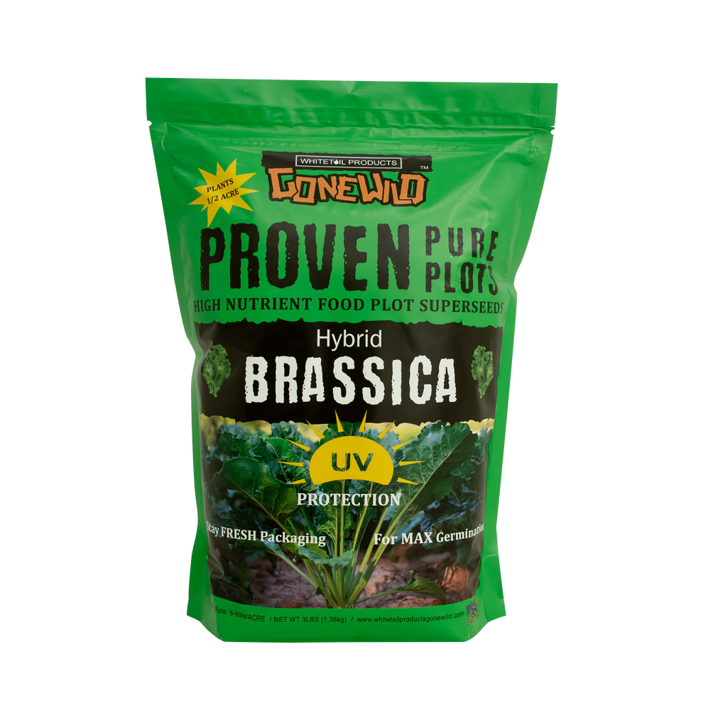 Hybrid Brassica – Whitetail Products Gone Wild