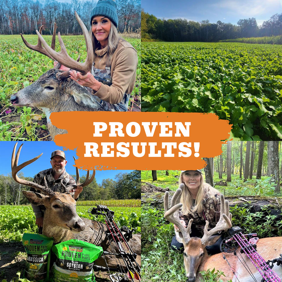 Forage Soybean (Round Up Ready) – Whitetail Products Gone Wild