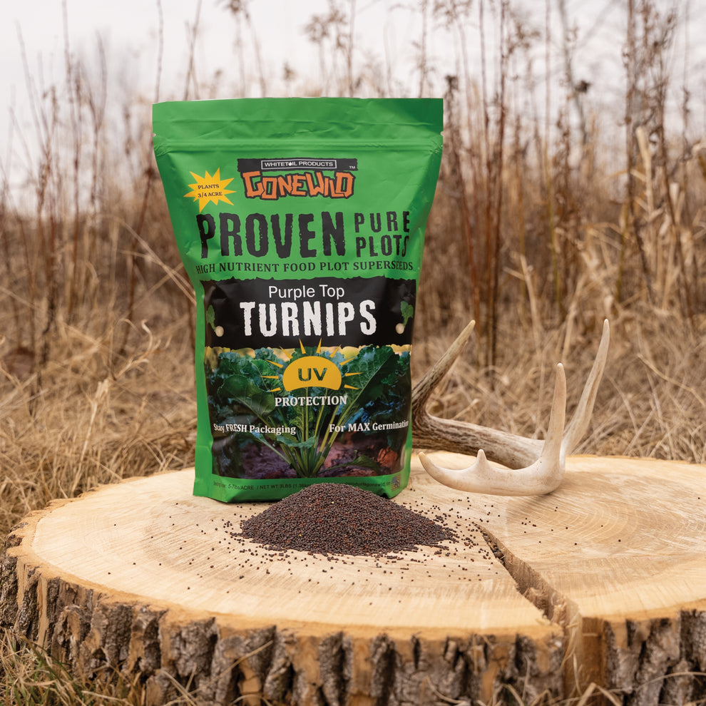 Purple Top Turnips – Whitetail Products Gone Wild